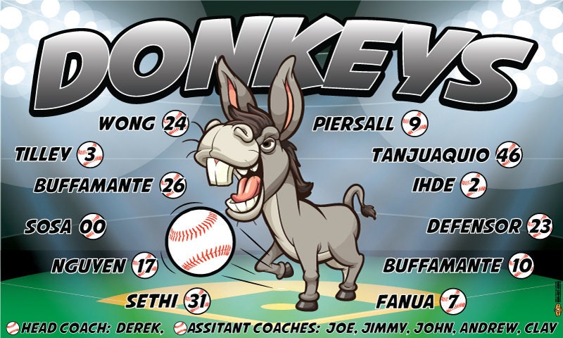 DONKEYS Little League Baseball Team Banner - Customize With Your ...