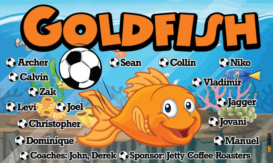 GOLDFISH 2 Soccer Team Banner - Customize With Your Players and Coach ...