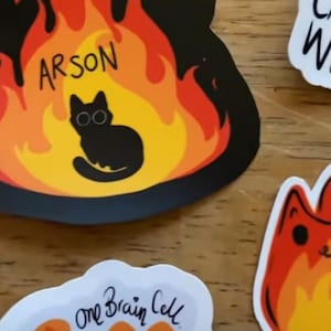 Arson Cat Vinyl Sticker - Etsy