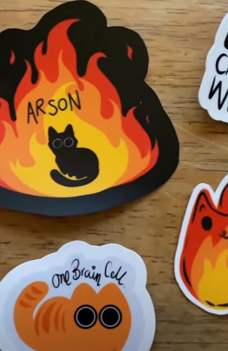 Arson Cat Vinyl Sticker - Etsy