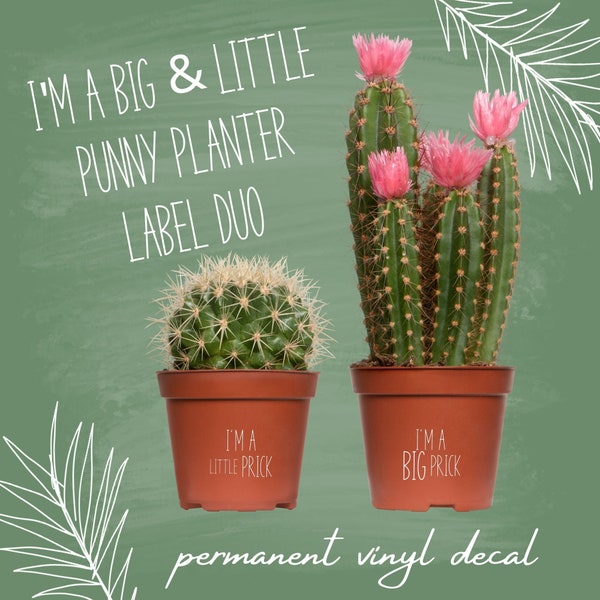 Funny Succulent Decal Set - Etsy