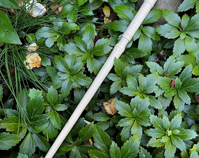 Holly Wand, 13 1/4 Inches and a Sage Stem Core - Etsy