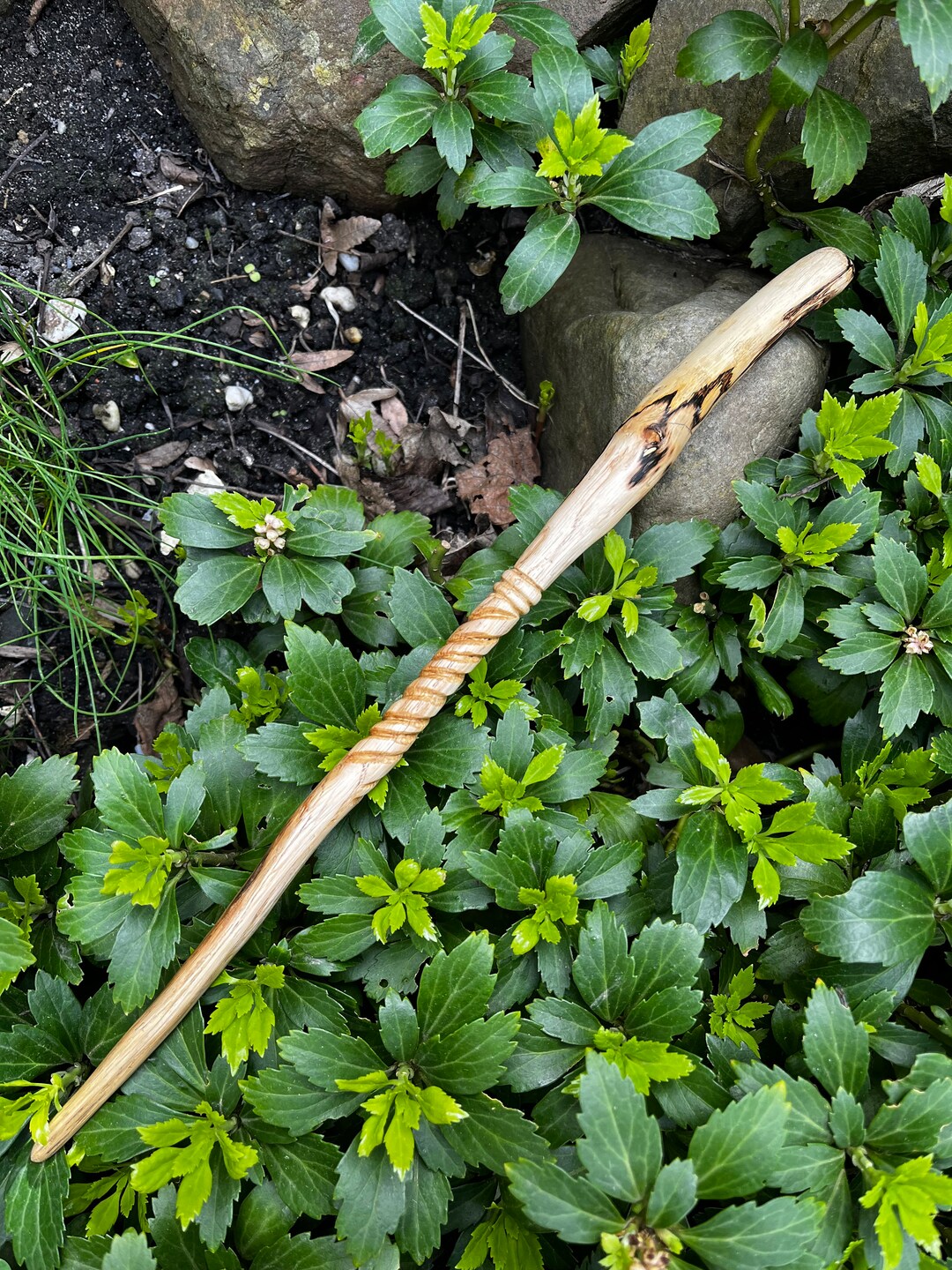 Spalted Morello Cherry Wand - Etsy