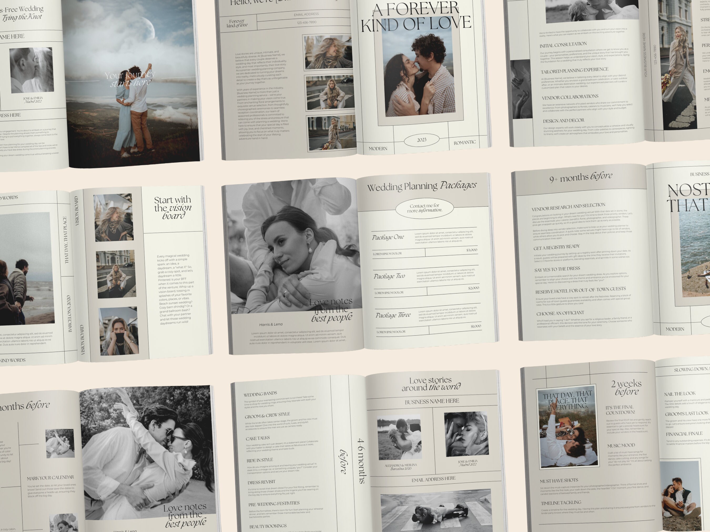 CANVA Modern Wedding Planner Client Pricing Guide With Content, Pre ...