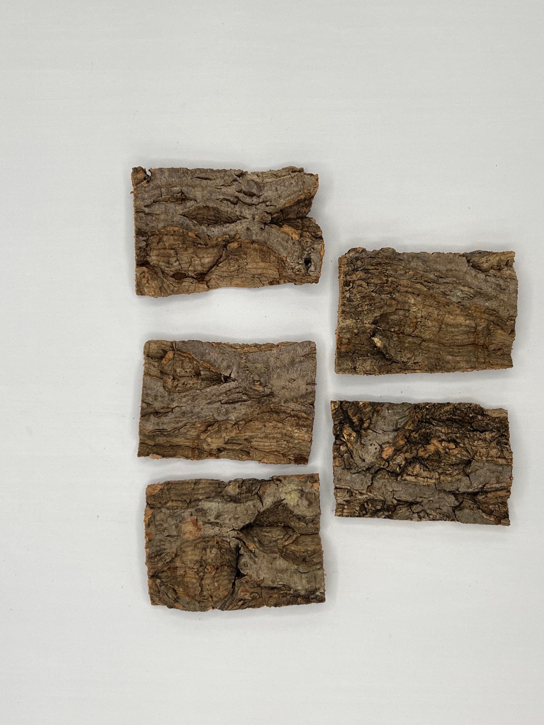 2” X 3” Cork Mounts for Mini Orchids - Etsy