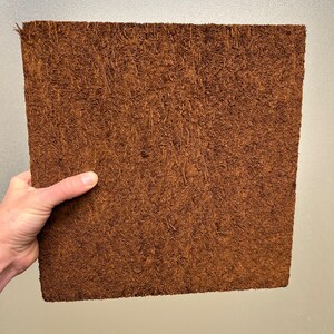 Tree Fern Panel Mount for Orchids, Aroids, Staghorn Ferns, Terrarium ...