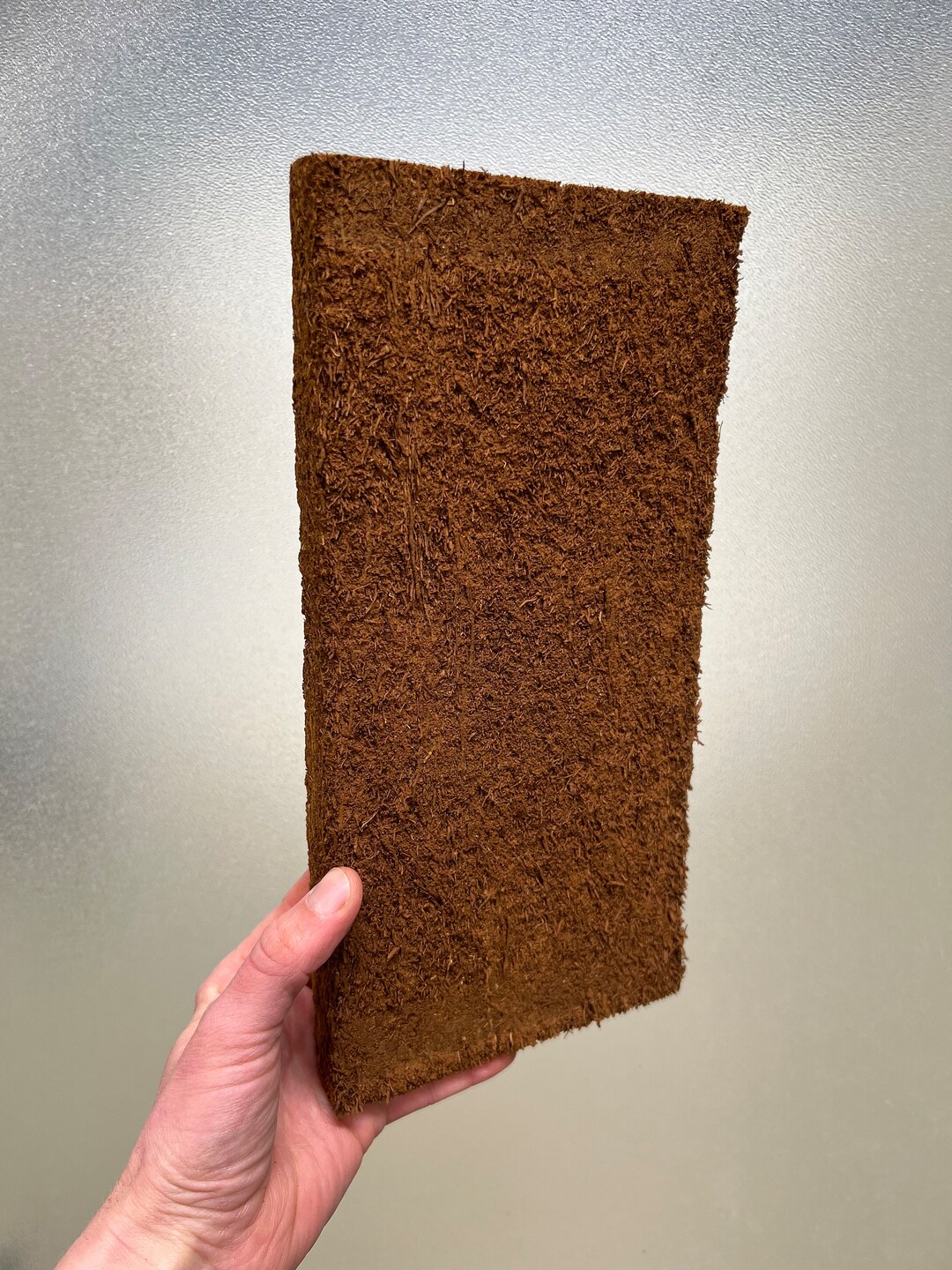 Tree Fern Panel Mount for Orchids, Aroids, Staghorn Ferns, Terrarium ...