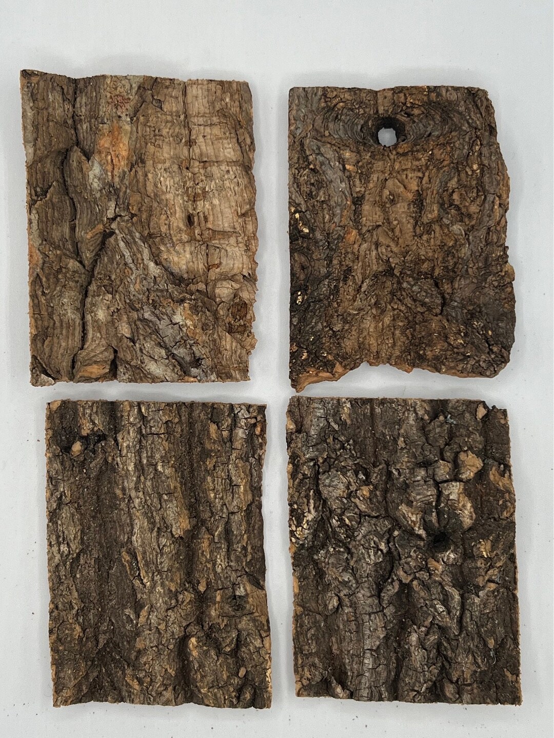 3” X 4” Cork Mounts for Mini Orchids - Etsy