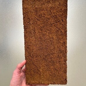 Tree Fern Panel Mount for Orchids, Aroids, Staghorn Ferns, Terrarium ...