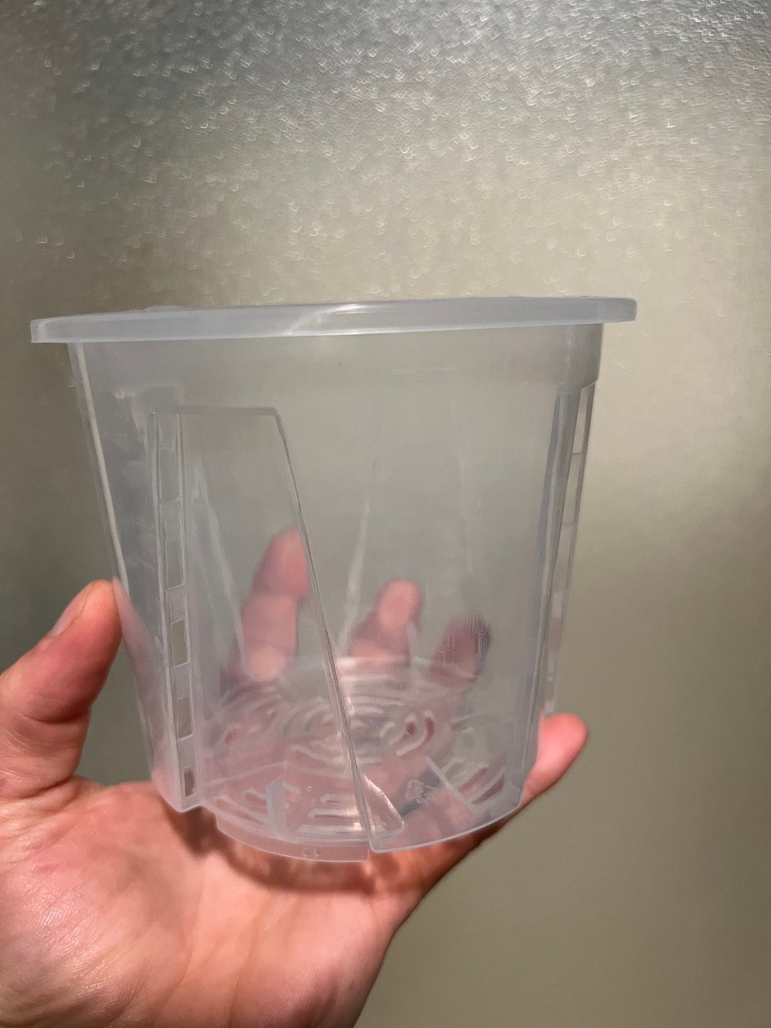 5 Inch Clear Plastic Pot for Aroids, Orchids. (13cm) - Short Version - Etsy