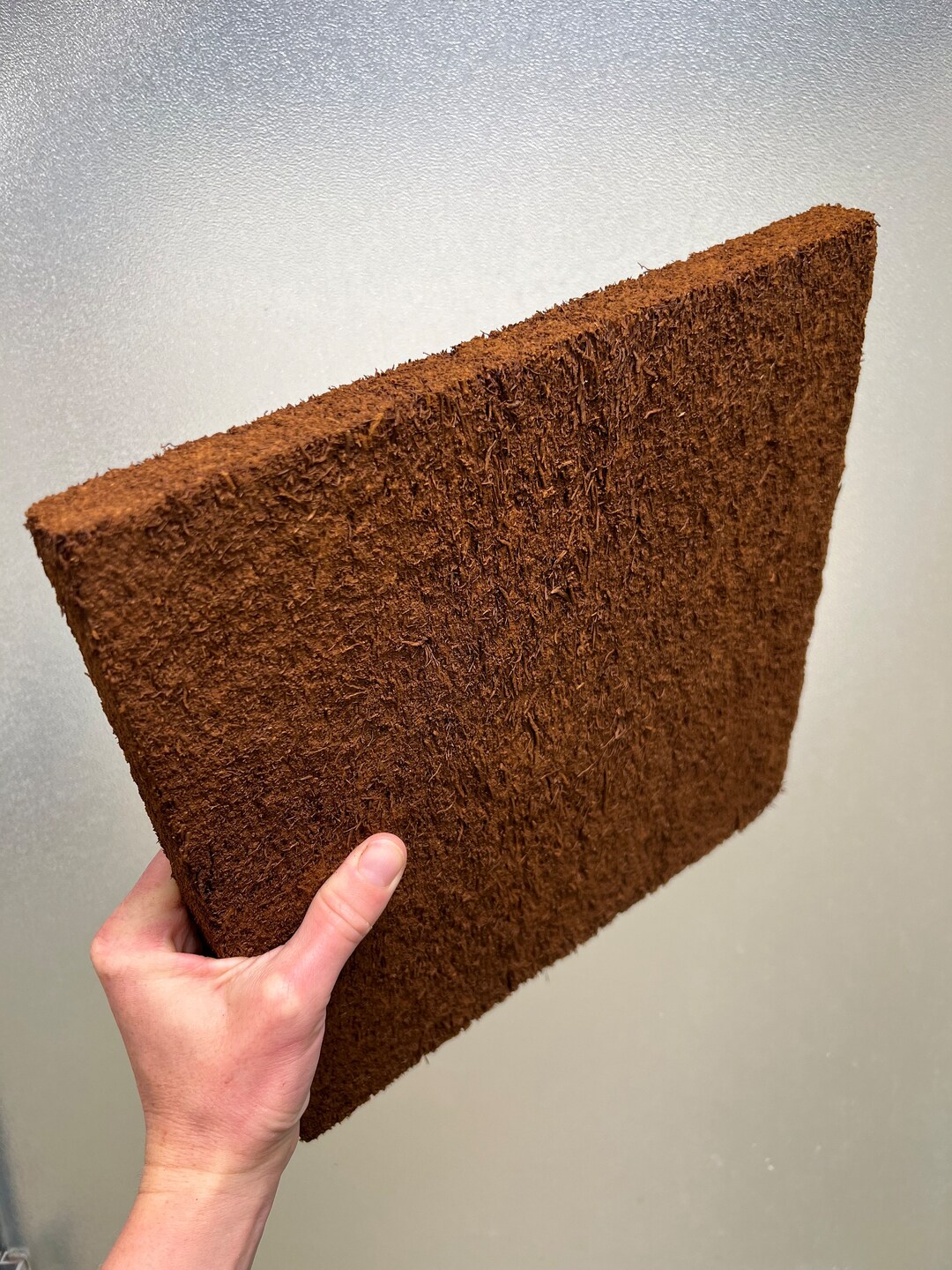 Tree Fern Panel Mount for Orchids, Aroids, Staghorn Ferns, Terrarium ...