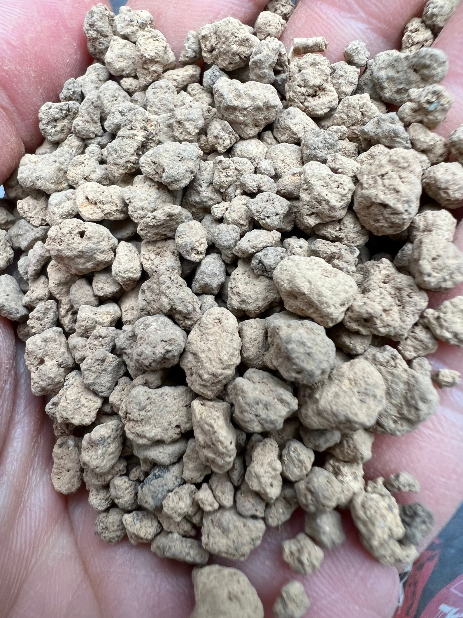 Akadama Substrate for Aroids, Terrariums, Bonsai, Cuttings 16oz - Etsy
