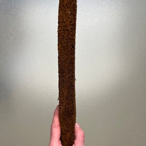 Tree Fern Panel Mount for Orchids, Aroids, Staghorn Ferns, Terrarium ...