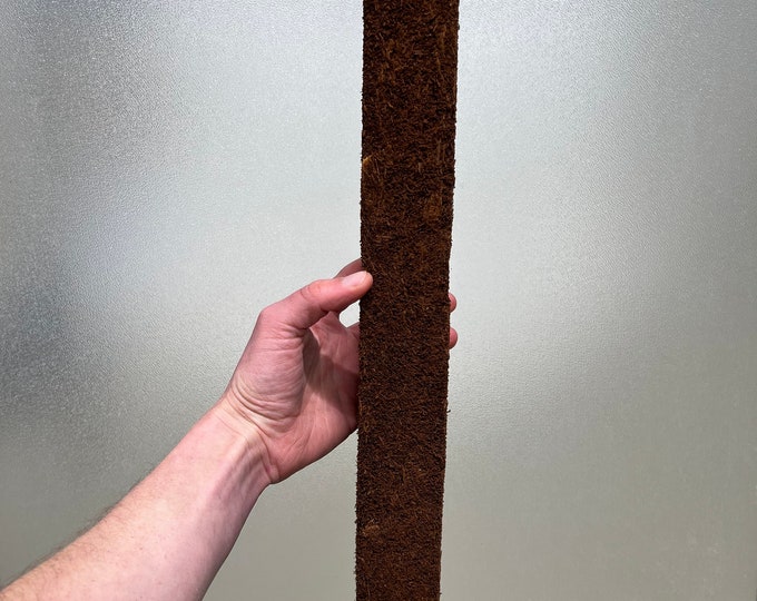 Tree Fern Pole for Climbing Aroids 20” Tall - Etsy