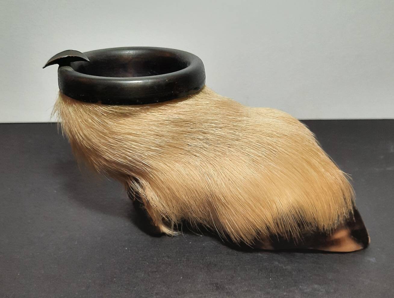 Vintage Hoof Ashtray, Taxidermy, Man Cave Decor - Etsy