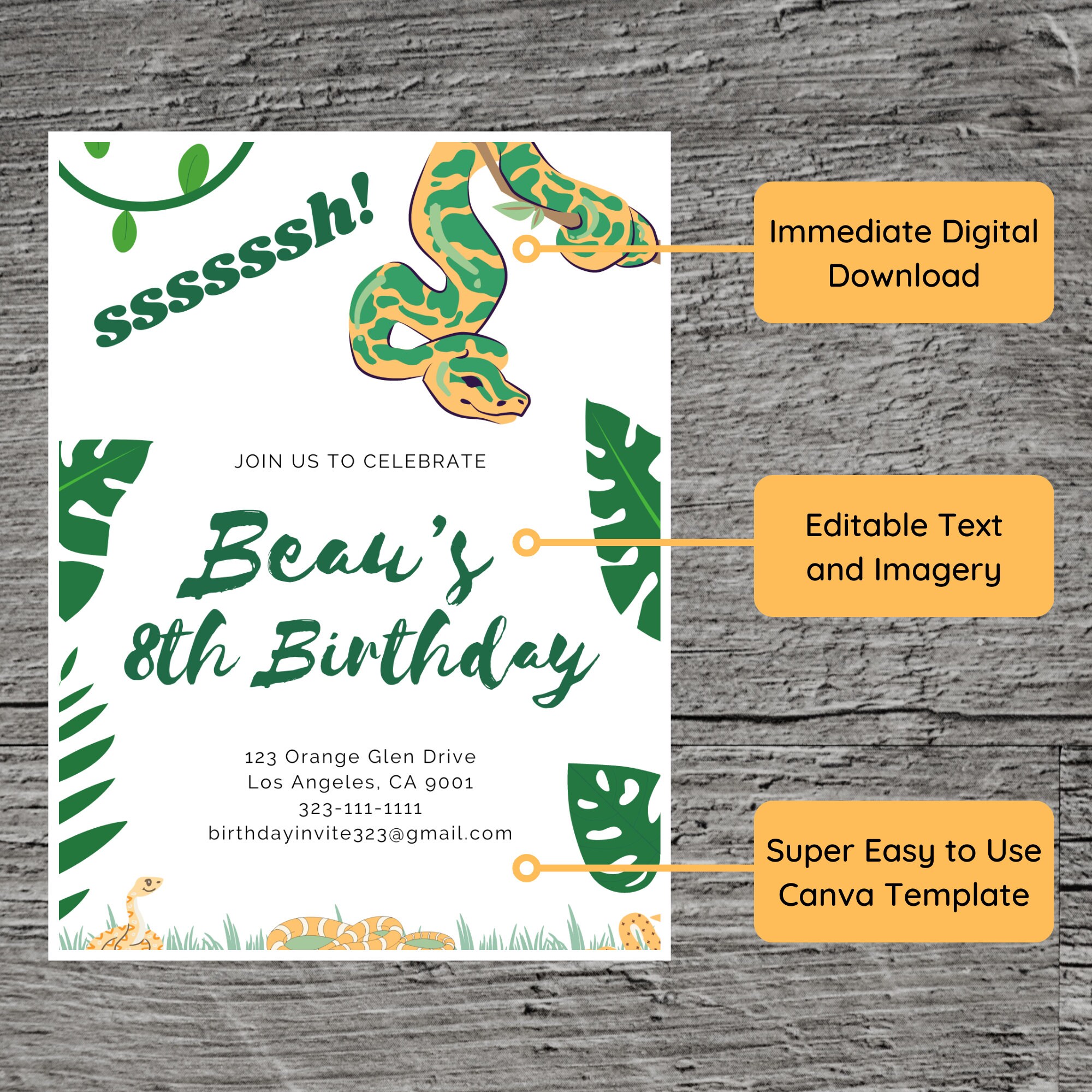 Silly Snake for Beau Theme Birthday Party Invitation Template, Snake ...