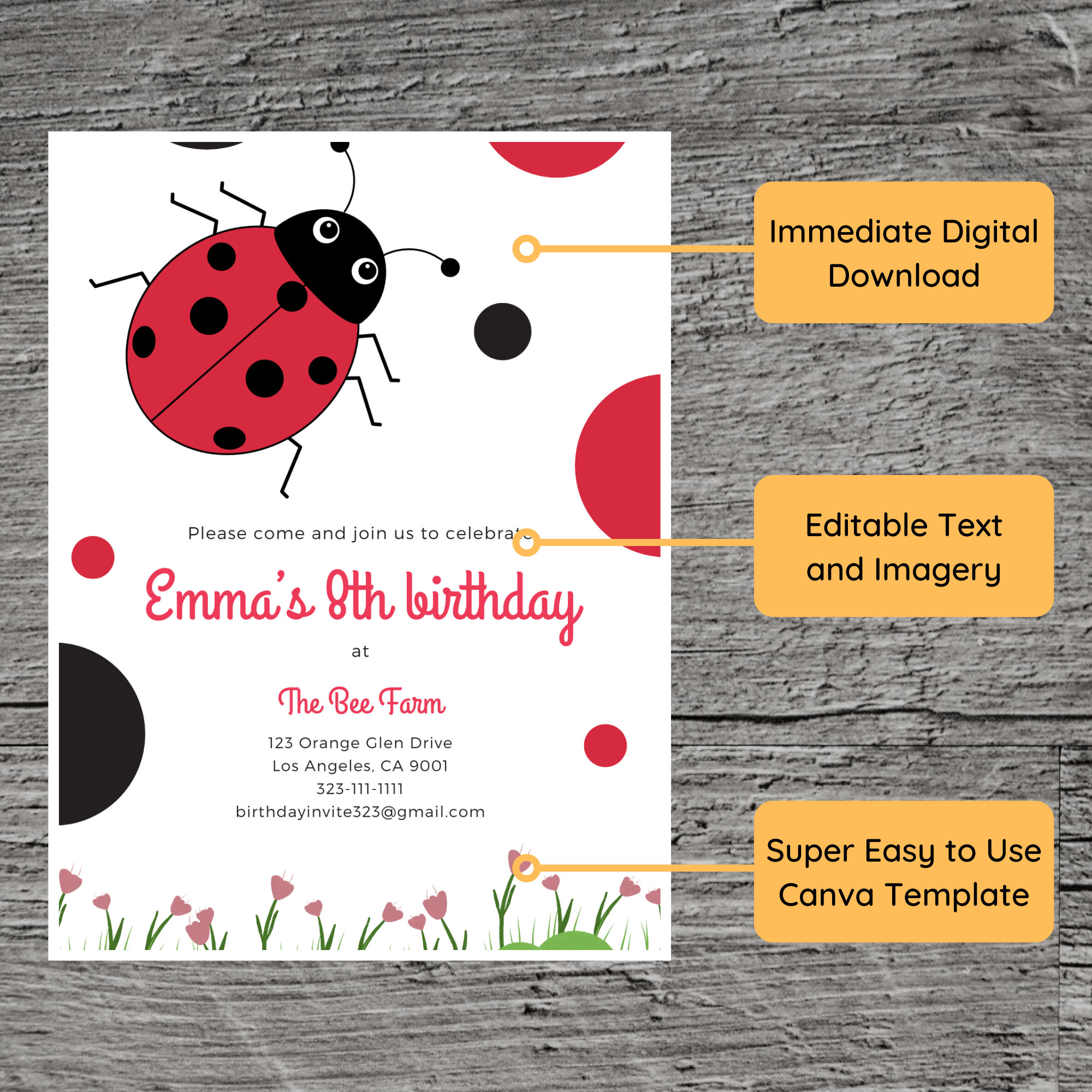 Ladybug for Emma Theme Birthday Party Invitation, Female Bug Insect Fly ...