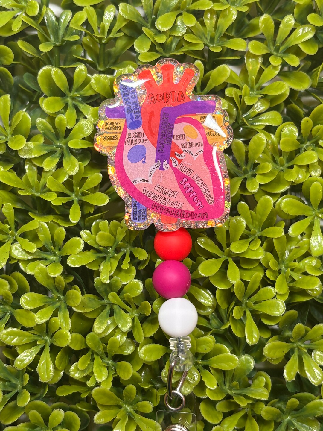 Heart Anatomy Badge Reel|cardiology Badge Reel|nurse Badge Reel|teacher ...