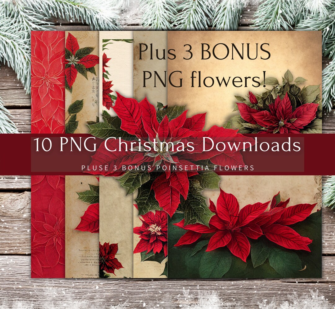 10 Christmas Poinsettia Printable PNG | Junk Journal | Mixed Media ...