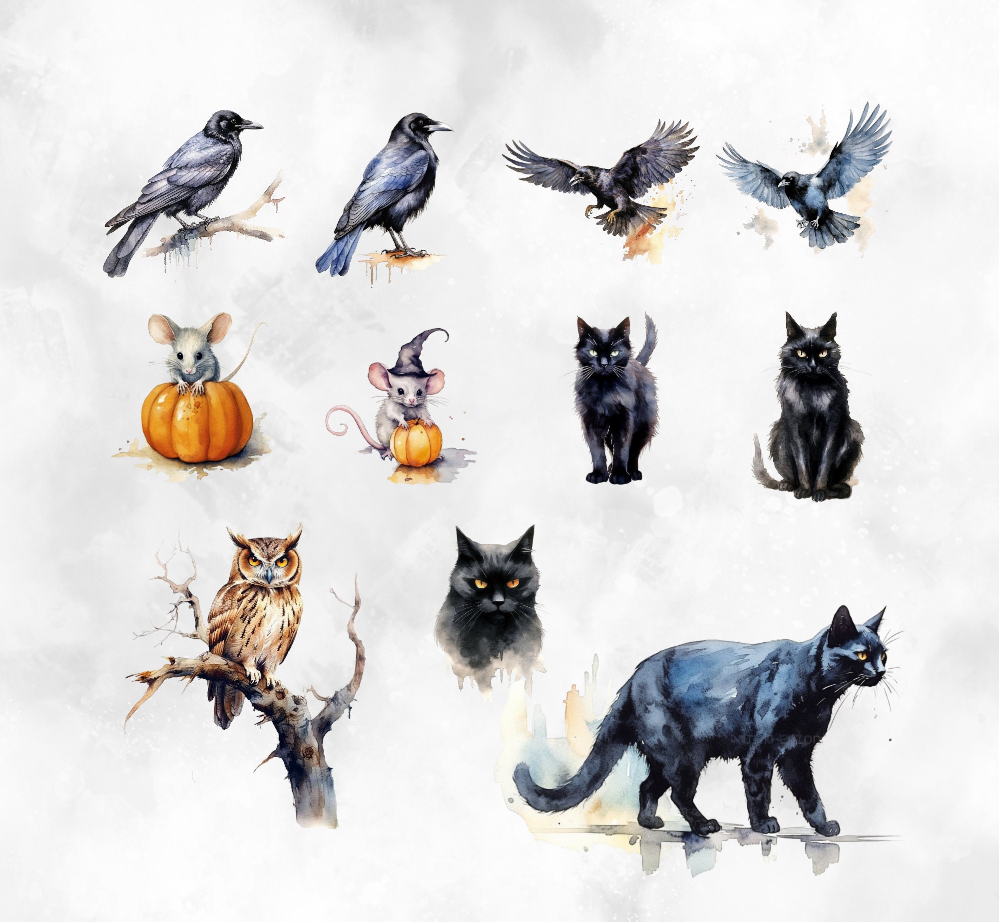 Spooky Wildlife Clipart Collection: PNG Halloween Creatures for Creepy ...
