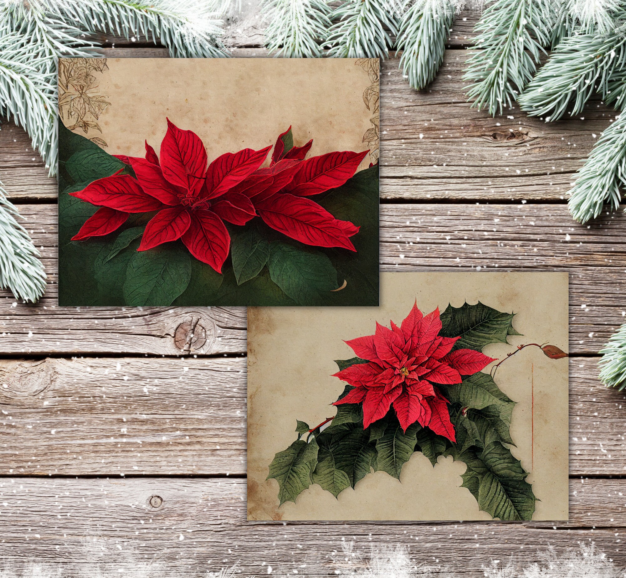 10 Christmas Poinsettia Printable PNG | Junk Journal | Mixed Media ...