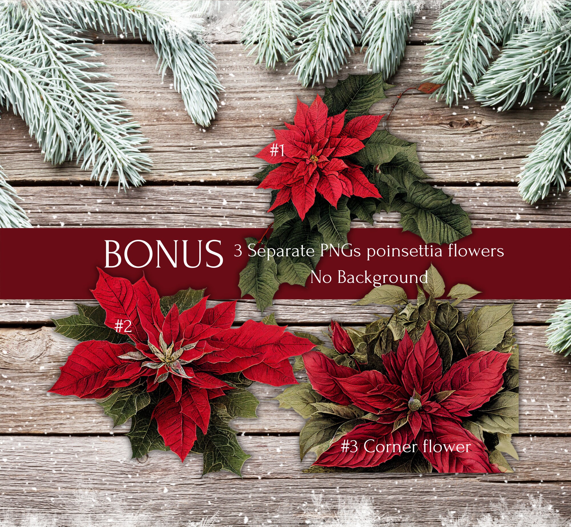 10 Christmas Poinsettia Printable PNG | Junk Journal | Mixed Media ...