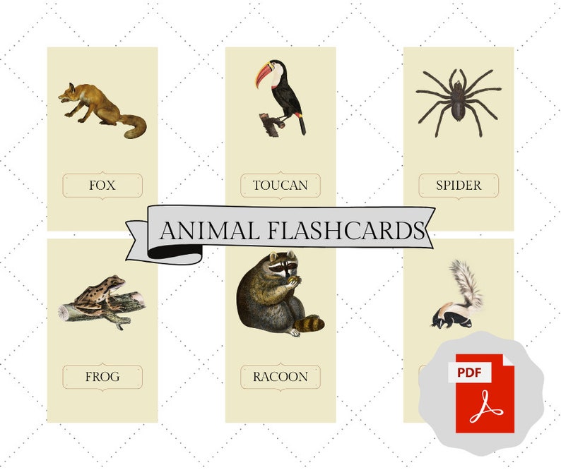 16 Animal Flashcards - Printable PDF Download - Etsy