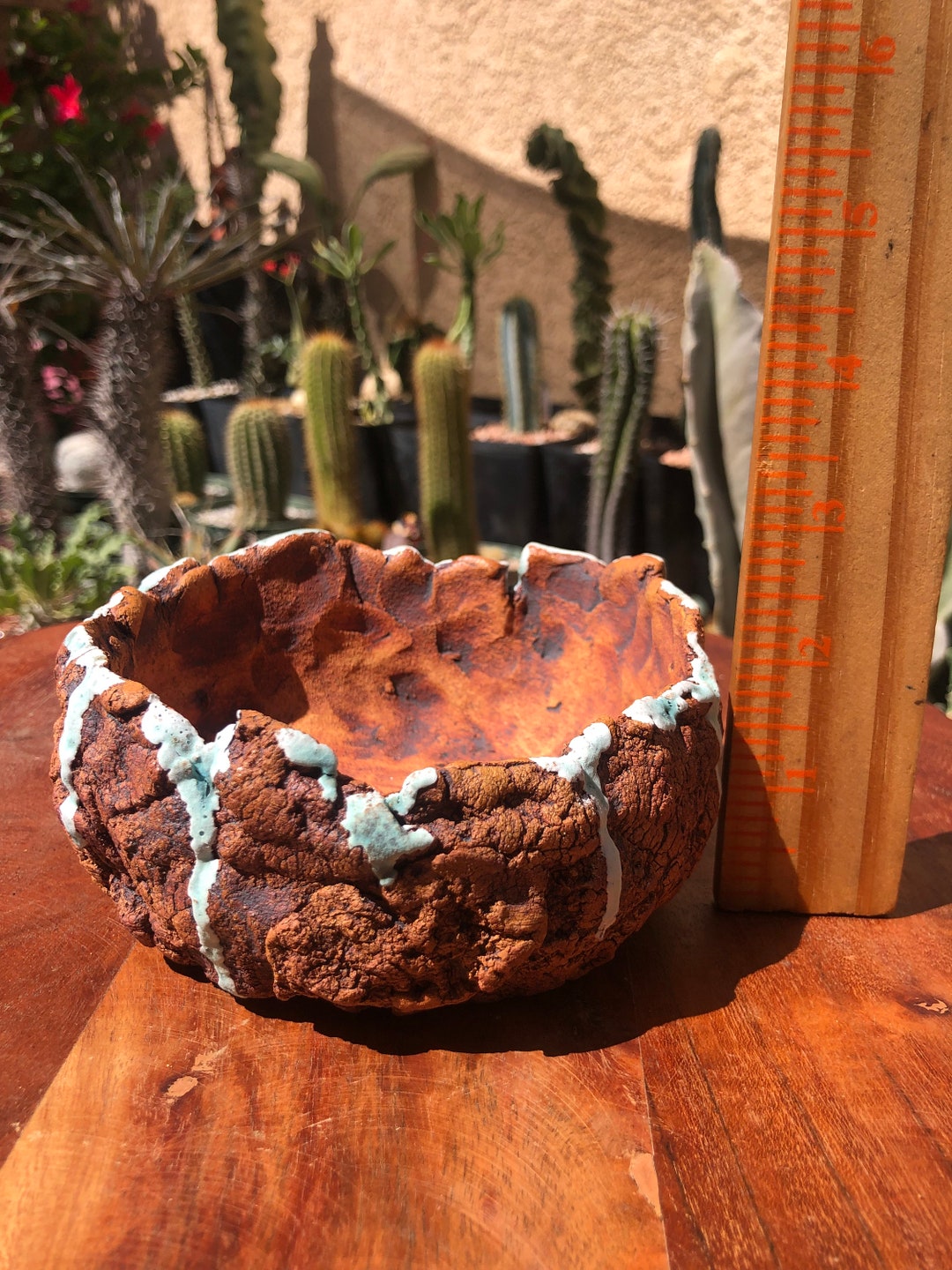 Earth Drip Habitat Pot - Etsy