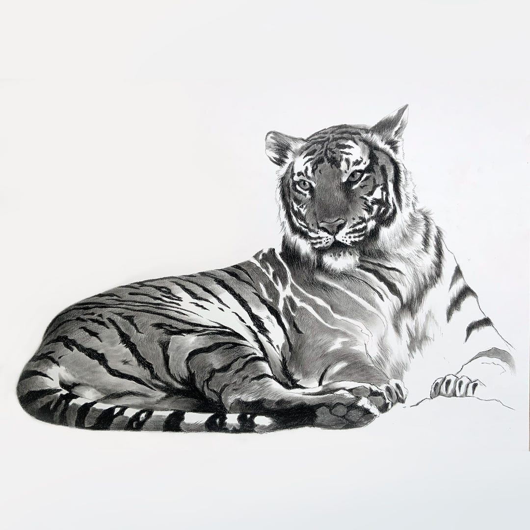 Original - NOT A PRINT, Tiger Art, Tiger Sketch, Tiger Illustration ...