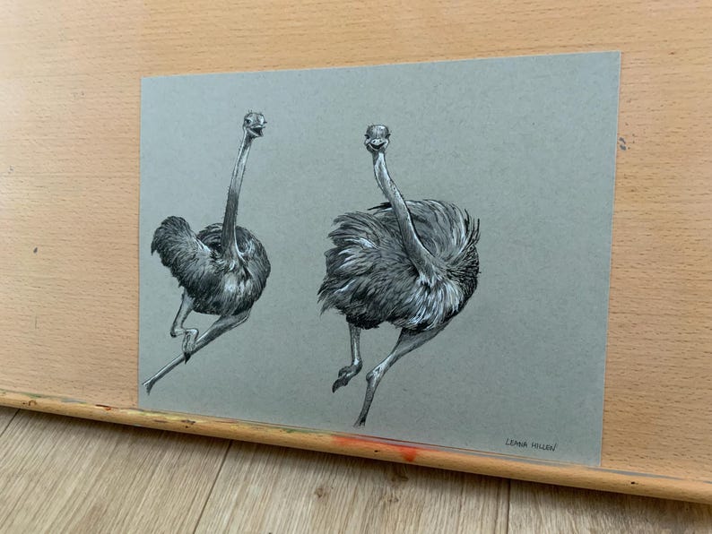 Original - NOT A PRINT, Ostrich Art, Ostrich Drawing, Bird Art, Ostrich ...