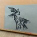 Original - NOT A PRINT, Bird Art, Bird Sketch, Bird Original Drawing ...
