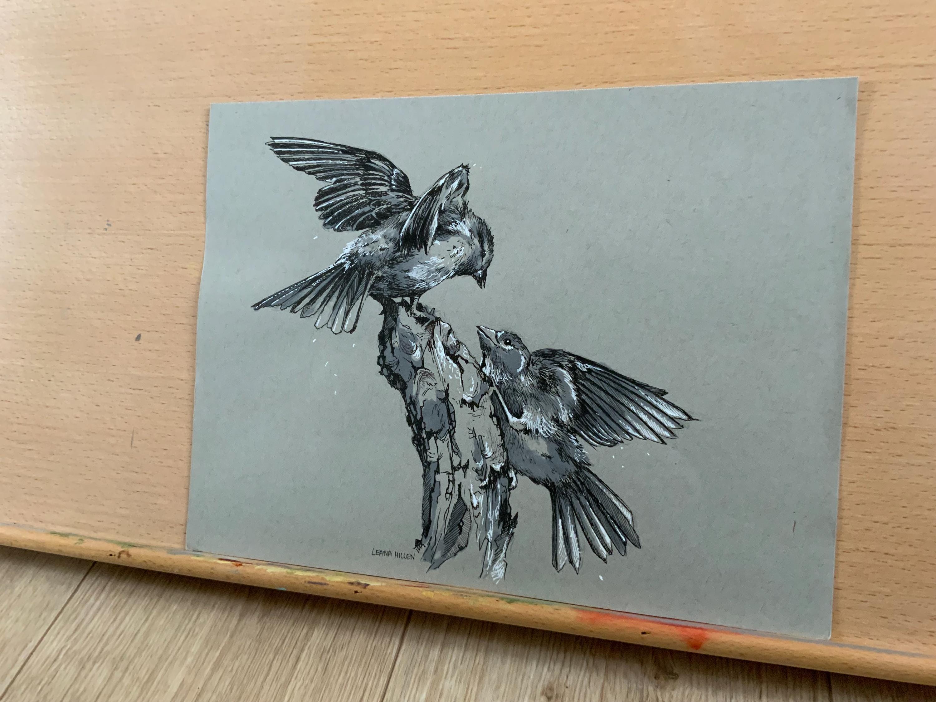 Original - NOT A PRINT, Bird Art, Bird Sketch, Bird Original Drawing ...