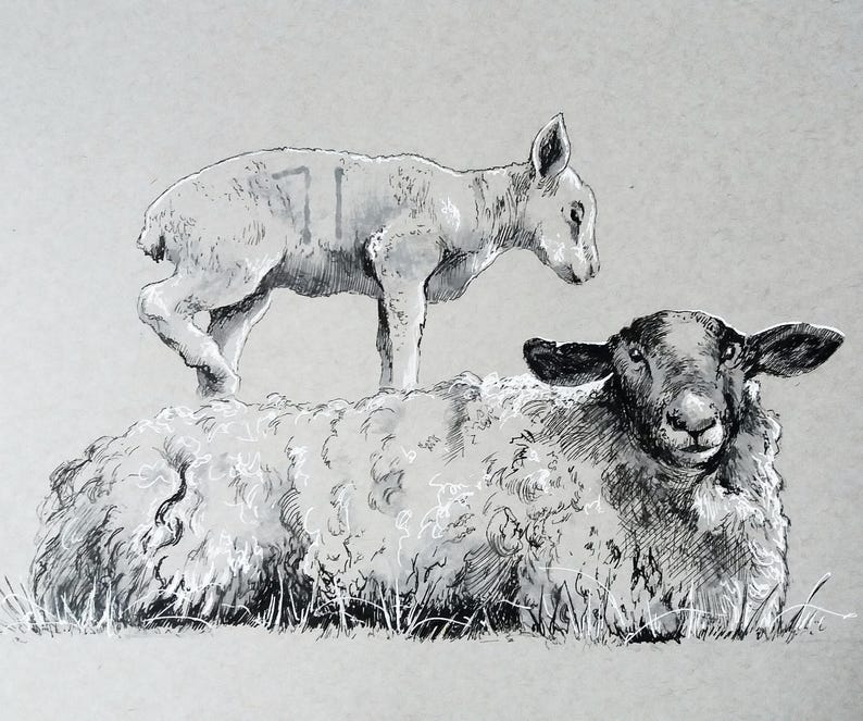 Original - NOT A PRINT, Sheep Art, Sheep Sketch, Lamb Drawing, Spring ...