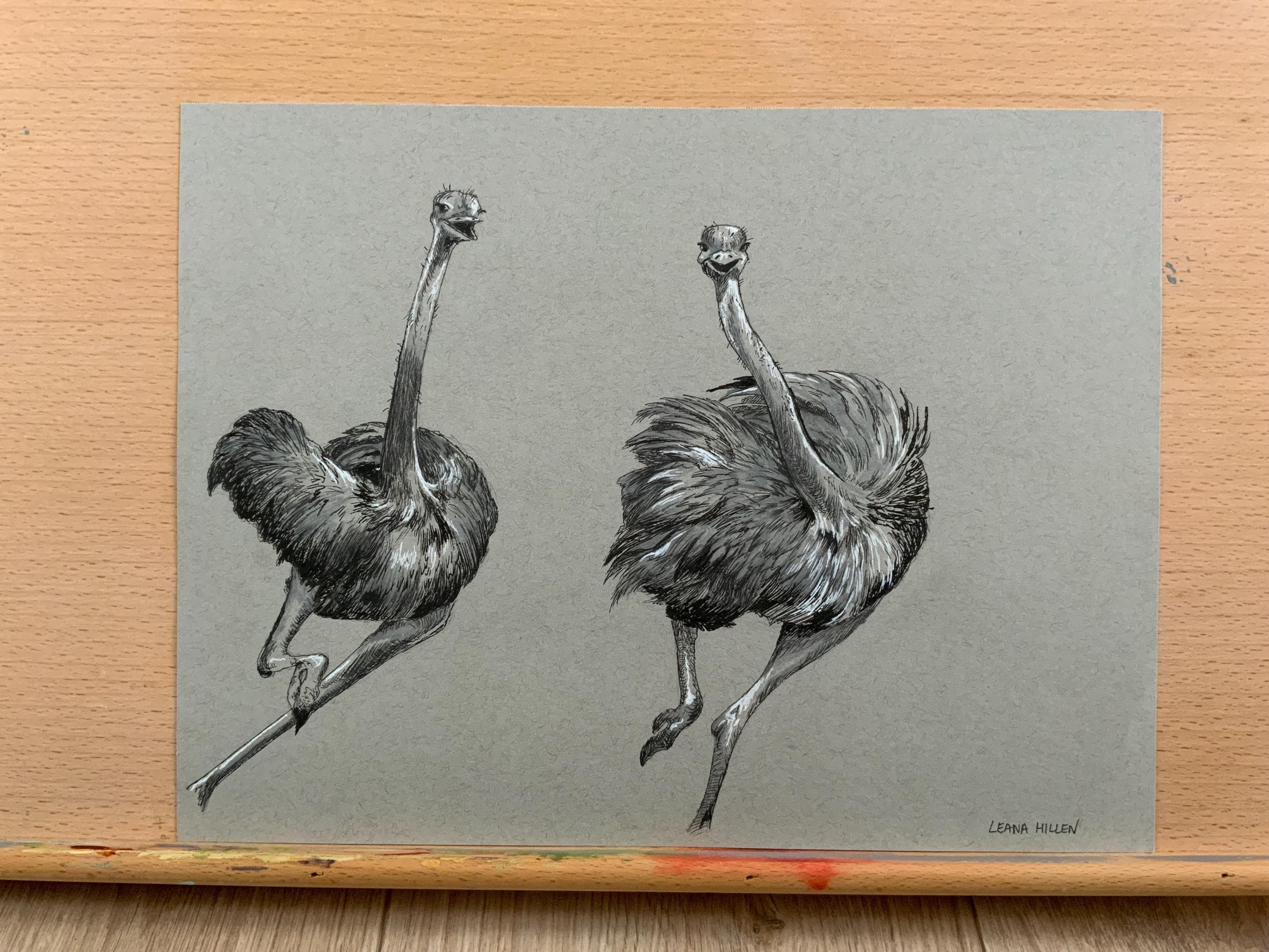 Original - NOT A PRINT, Ostrich Art, Ostrich Drawing, Bird Art, Ostrich ...