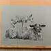 Original - NOT A PRINT, Sheep Art, Sheep Sketch, Lamb Drawing, Spring ...