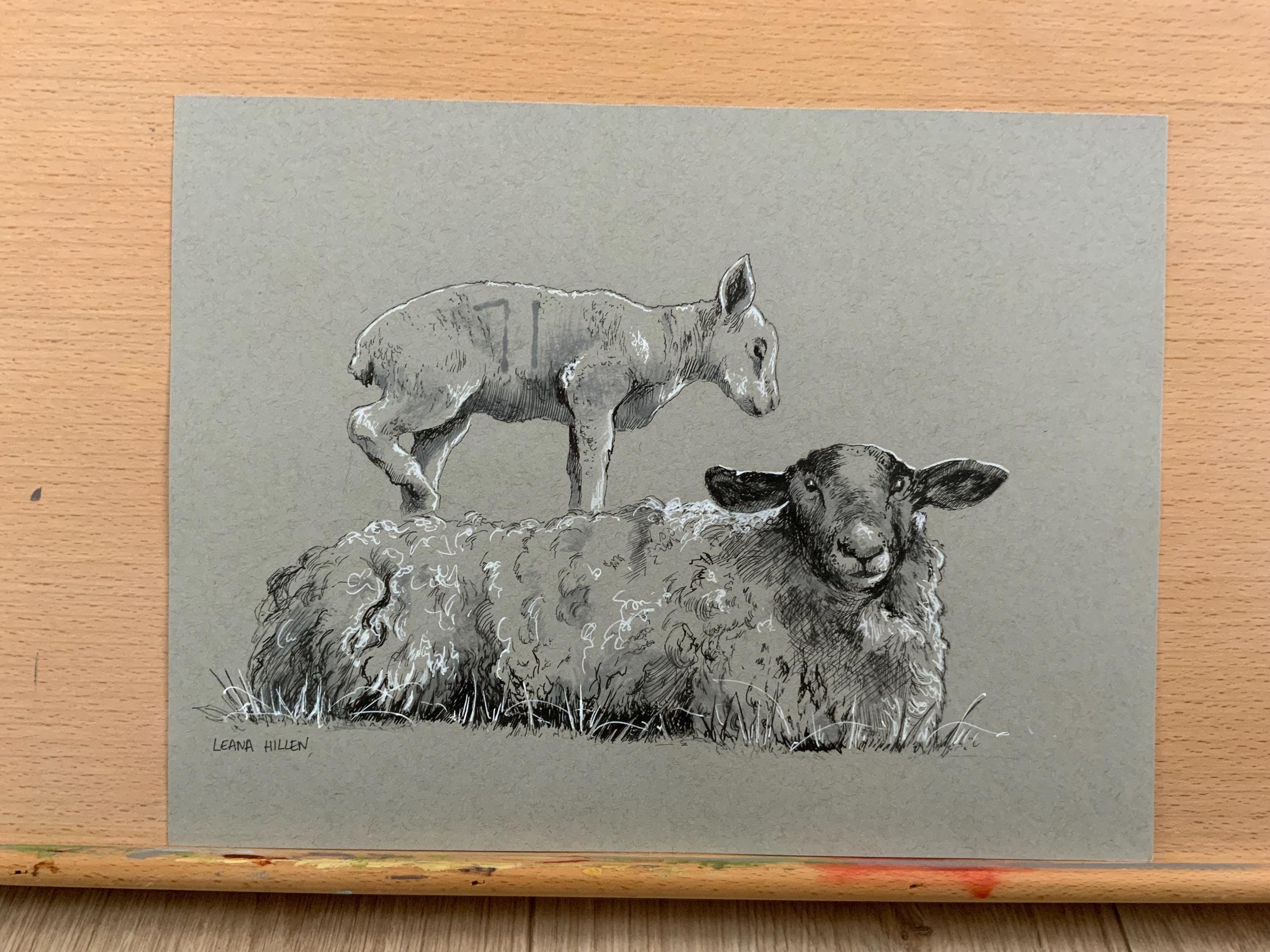 Original - NOT A PRINT, Sheep Art, Sheep Sketch, Lamb Drawing, Spring ...
