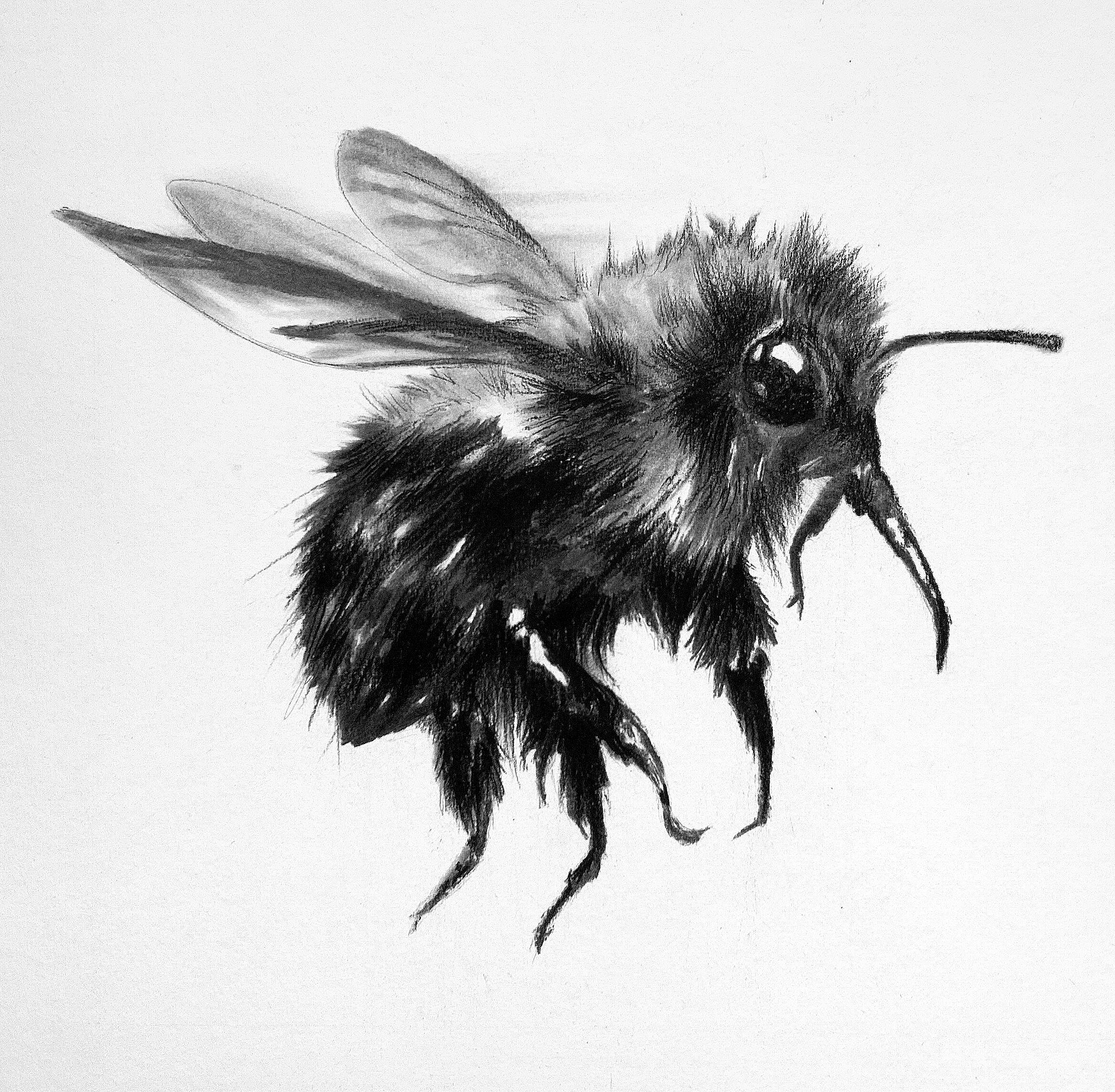 Original, NOT A PRINT - Humble Bumble, Bee Drawing, Bumble Bee Art ...