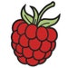 Raspberry EMBROIDERY DESIGN, Fruit Embroidery Files, Raspberry Patch ...