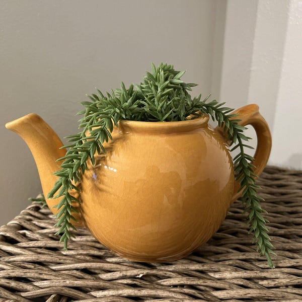 Mustard Tea Pot - Etsy