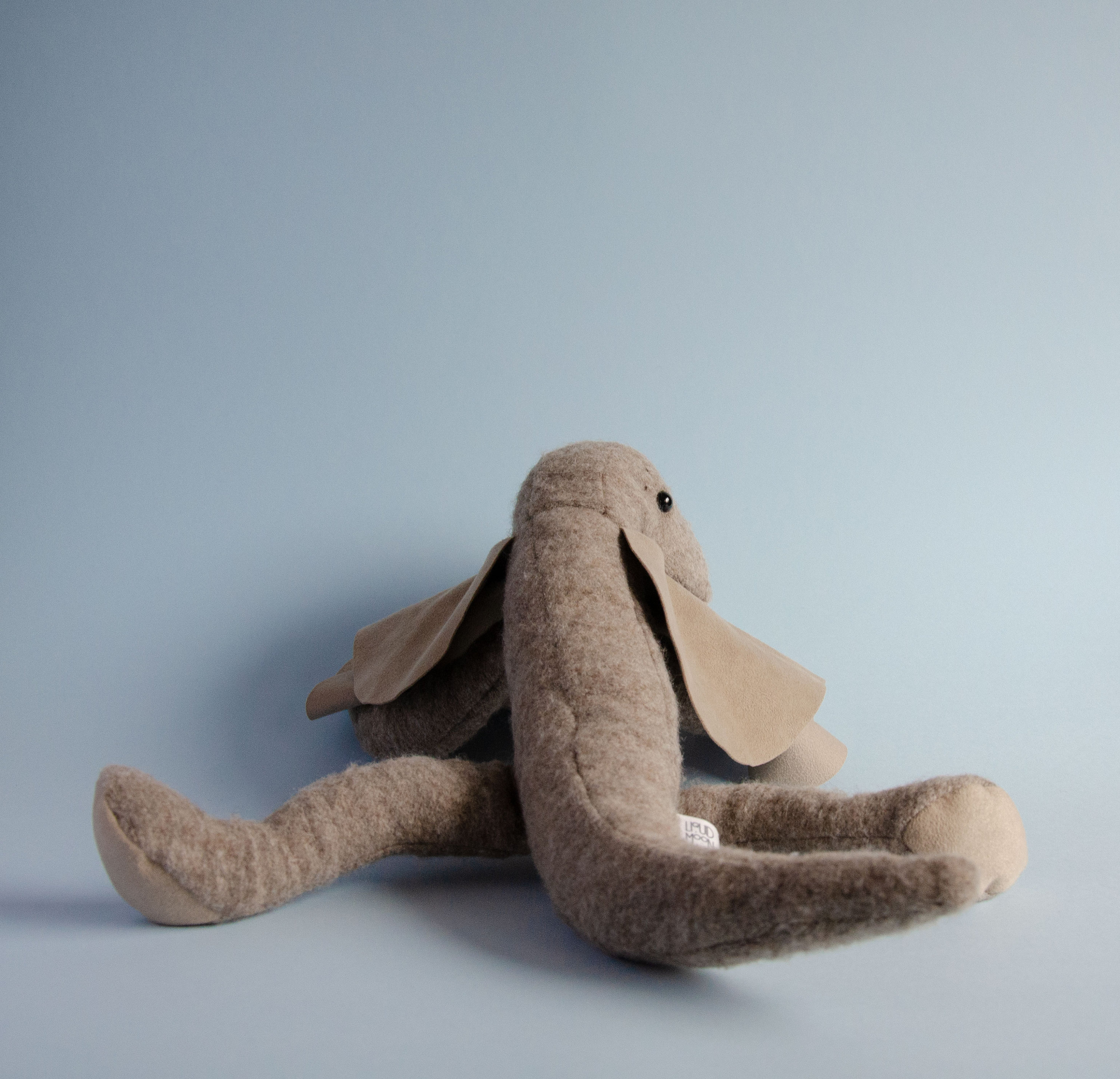Emry the Frilld-neck Lizard - Large Kids Plush Toy - Etsy