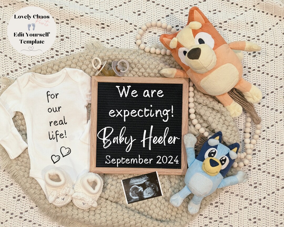 Blue Dog Pregnancy Announcement | Blue Heeler| Baby Announcement | Baby ...