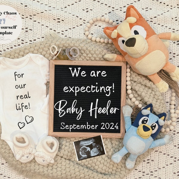 Bluey Baby Announcement - Etsy