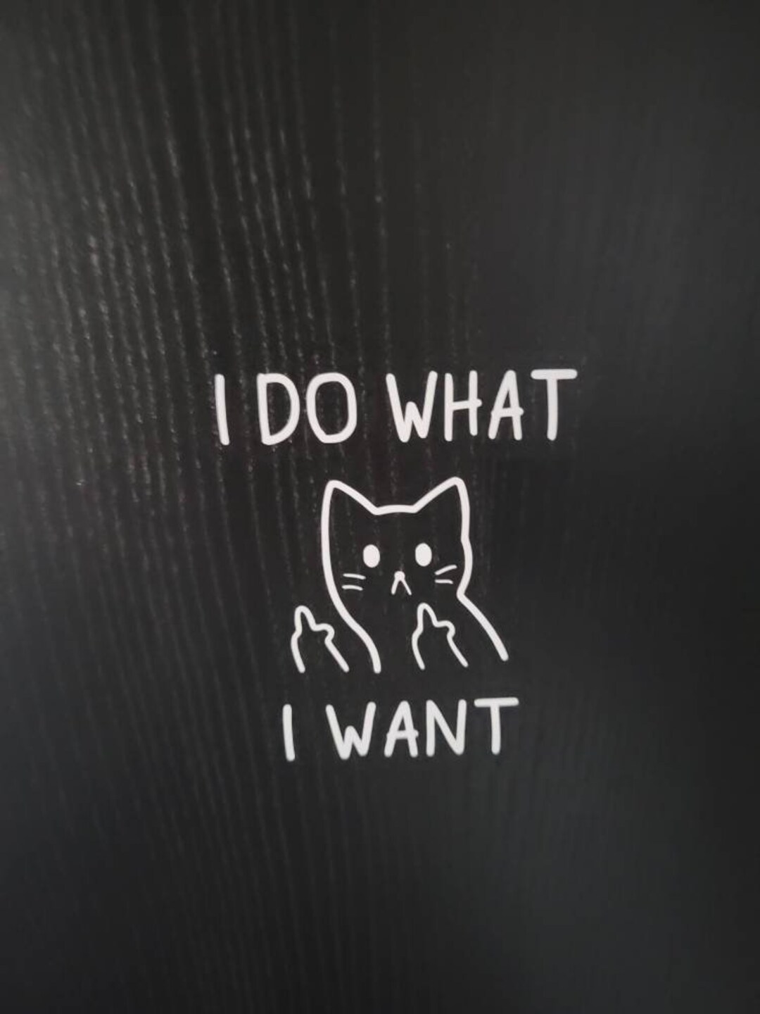 Funny Cat Decal Flipping off Decal Offensive Humor Cat Lover Decal - Etsy