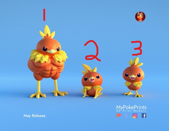 Torchic Costume