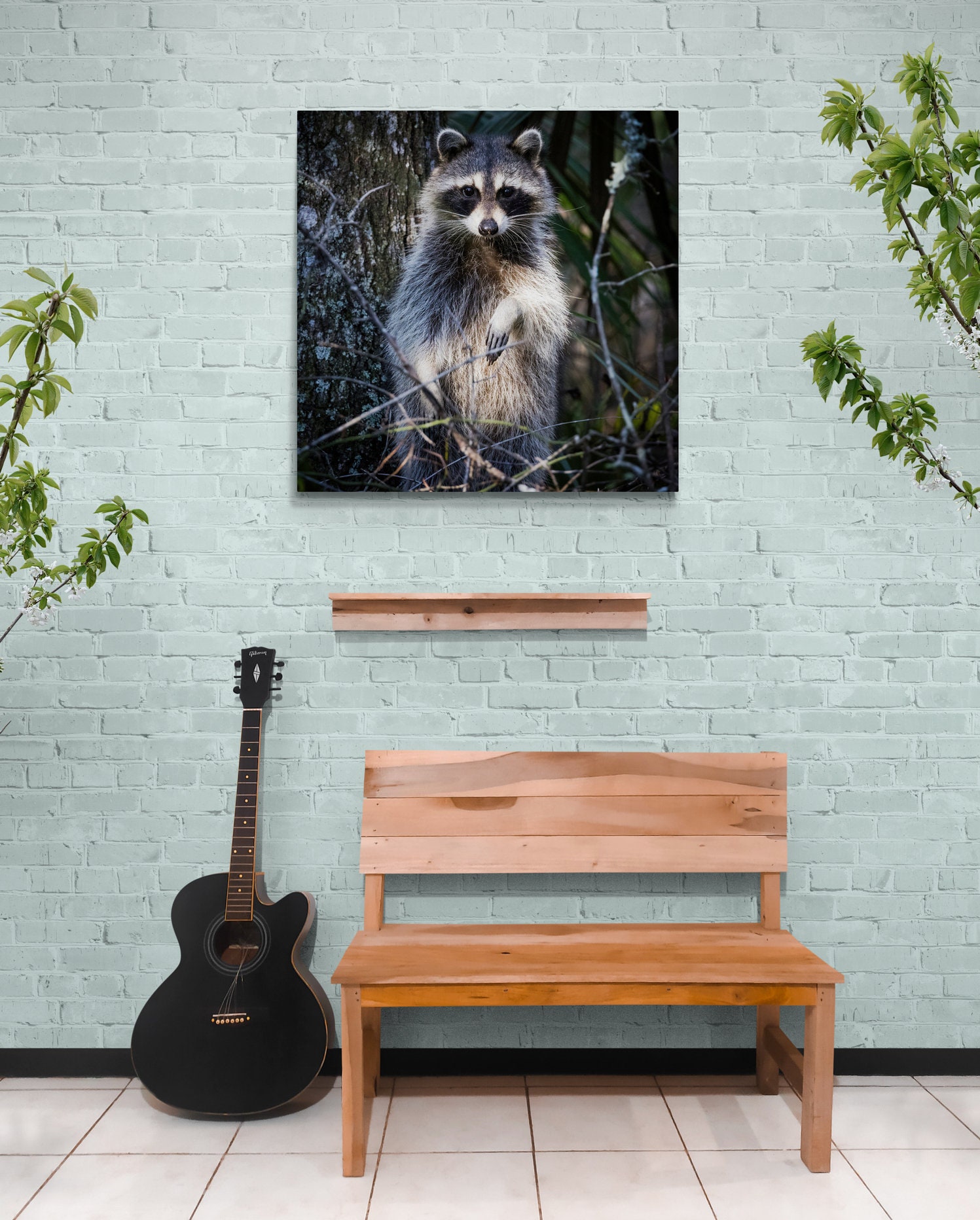 Raccoon Wall Art Home Decor Photography - Etsy