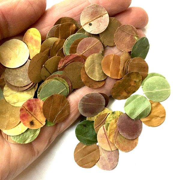 Leaf Confetti - Etsy UK