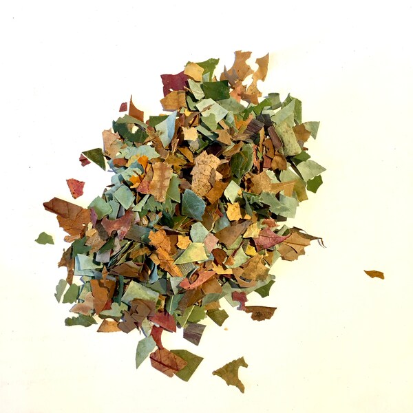 Leaf Confetti - Etsy UK