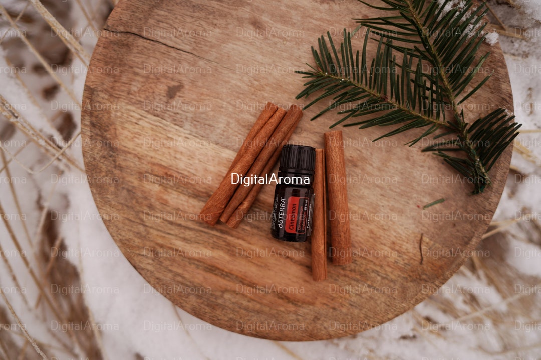 Cinnamon Doterra Oil Stock Photography - Etsy