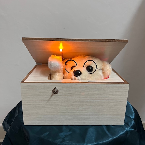 Useless Box With Finger - Etsy