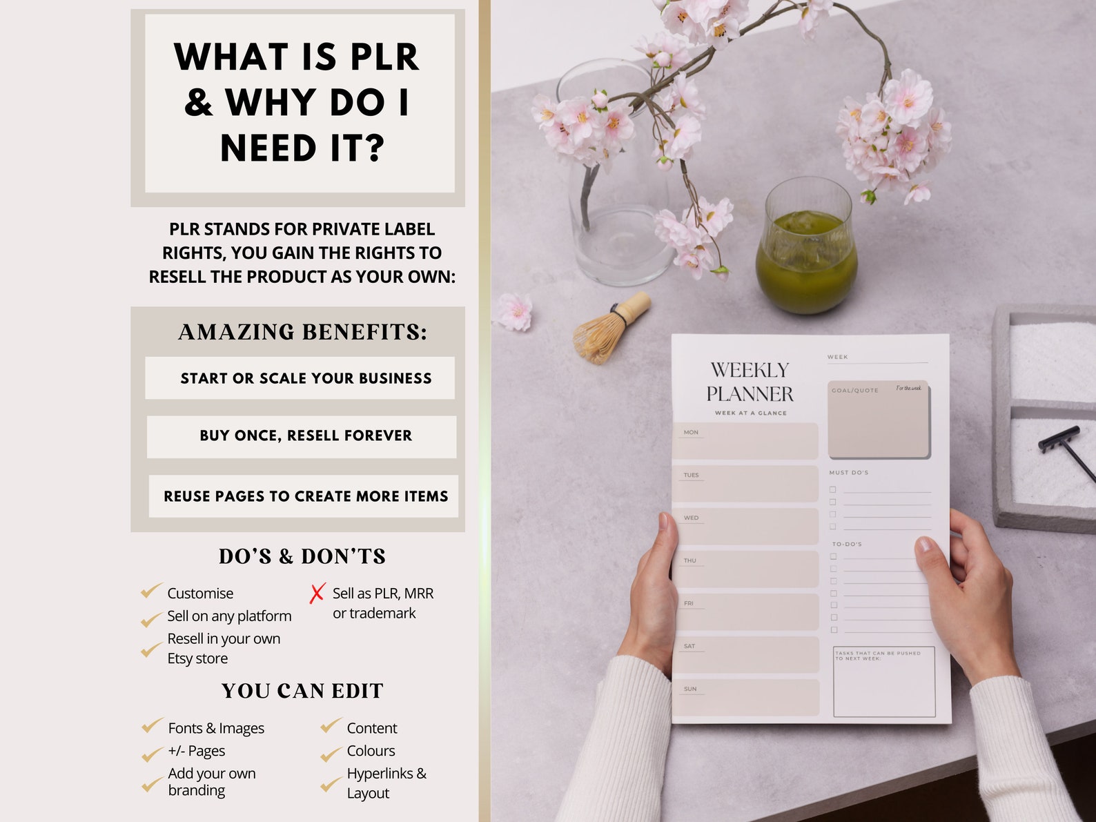 PLR Printable Planner With FREE Bonus: Editable Canva Template ...